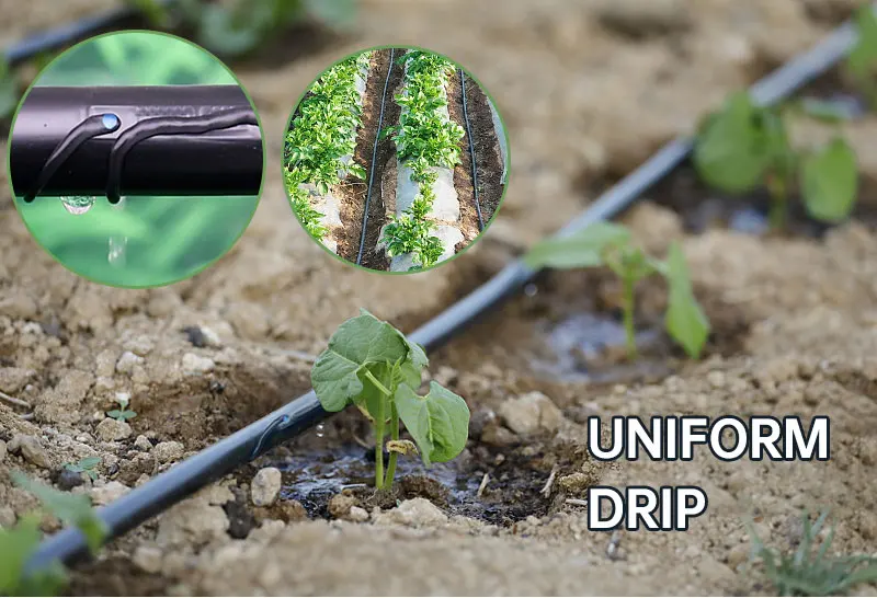 10% Off Drip Irrigation System Agricultural Flexible Hose Garden Water System - Buy Built-in ...