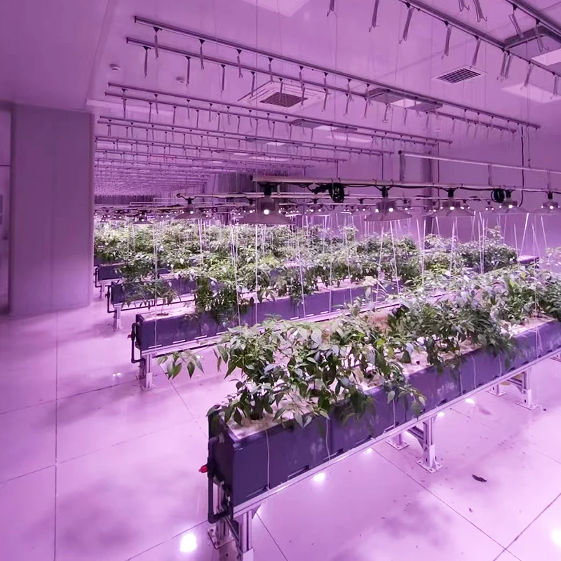 Commercial Hydroponic NFT Rack System 10 Levels with Drainage Channels