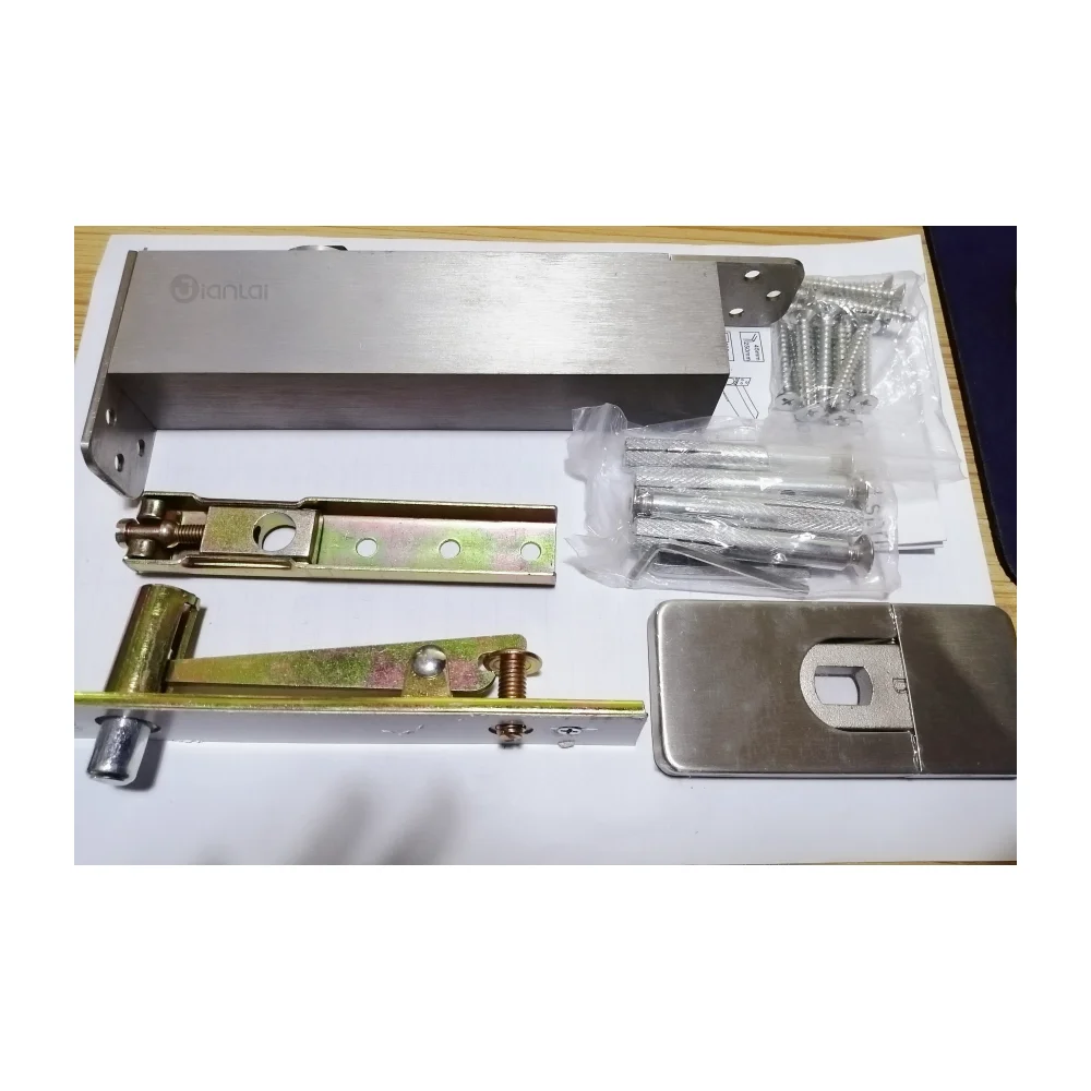 Adjustable Hydraulic Pivot Bottom Patch Fitting No Digging Floor Hinge ...