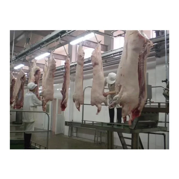 Small Scale Capacity Pigs Slaughter Abattoir Butchery Equipment ...