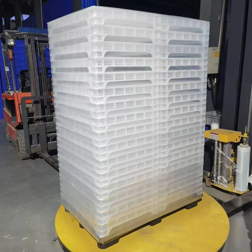 600x800x58mm HDPE Food Grade Drying Trays for Seafood