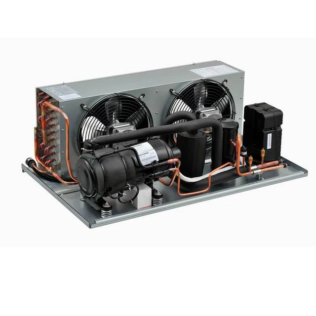 R290 220V Low Temp Condensing Unit with Motor Supermarket Display ...