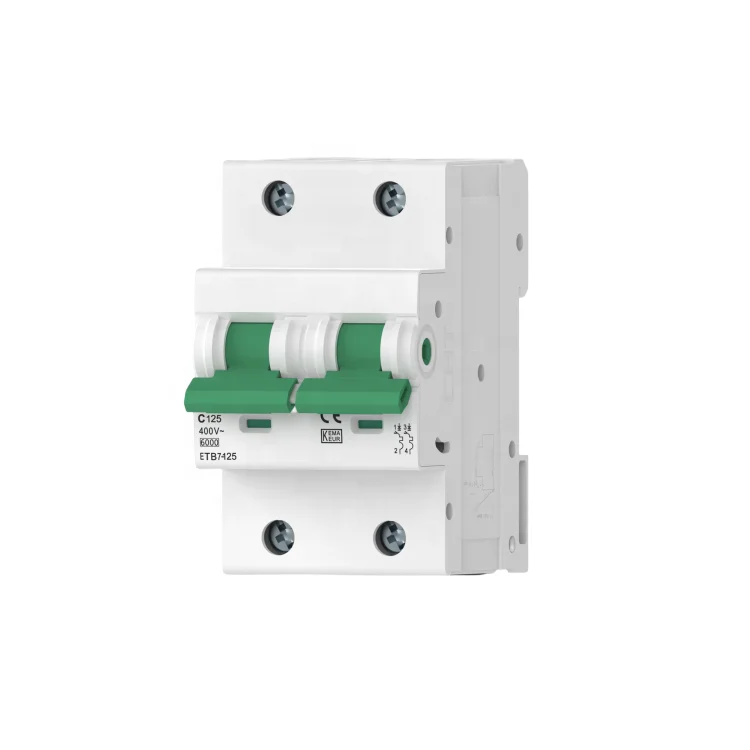 Low Voltage Mcb Type Of Circuit Breaker 2 Pole 100 Amp Breaker Circuit ...