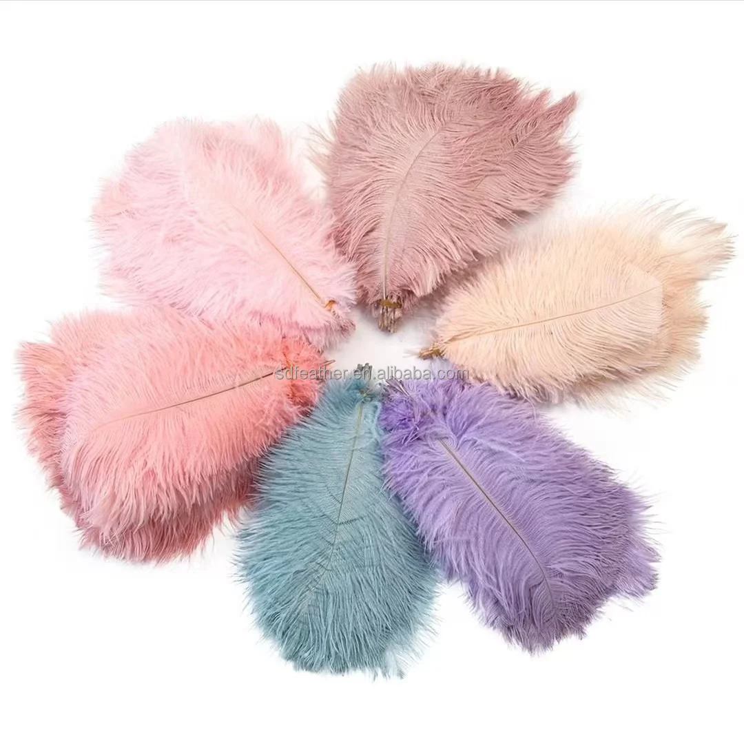 Wholesale Feather Supplier - Natural Black Ostrich Feathers