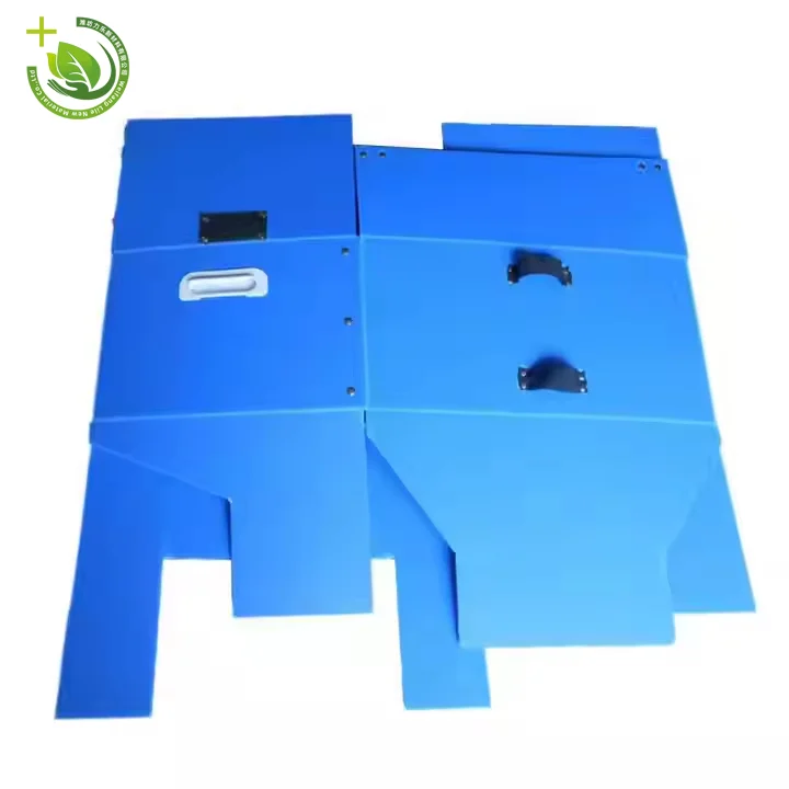 Folding Coroplast Archive Box - Customizable & Durable