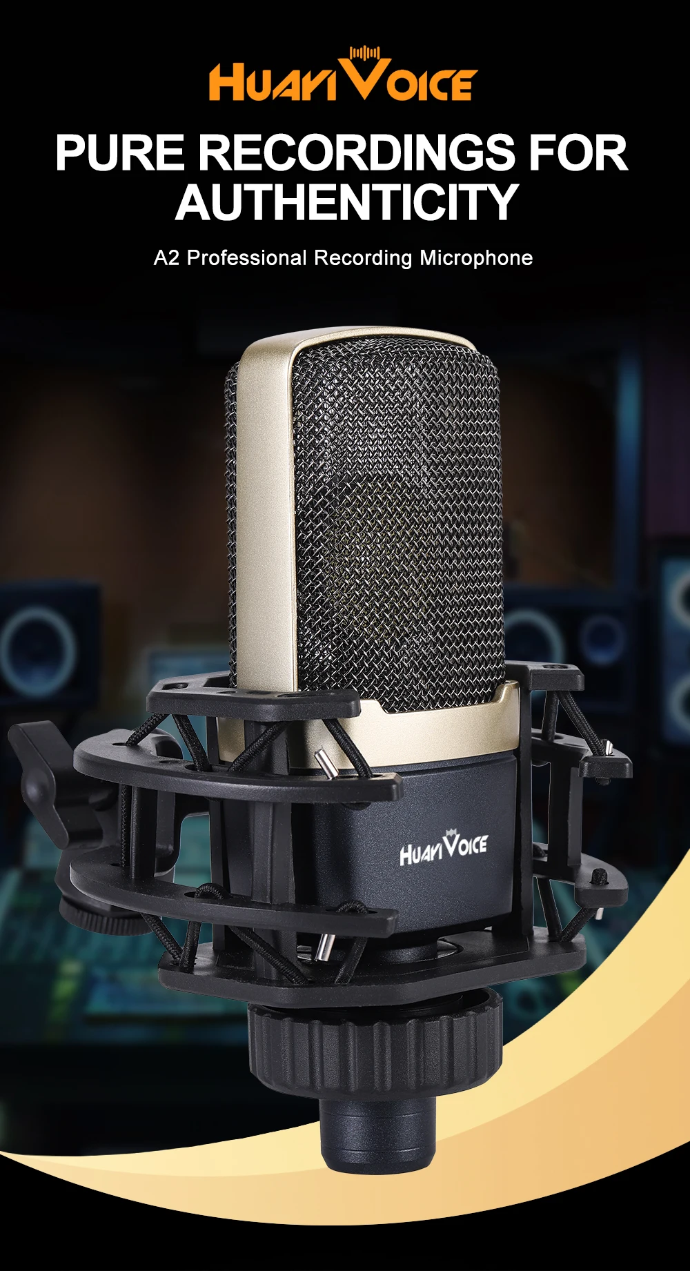 A2 Professional Wired Condenser Microphone Studio Singing Microphone ...