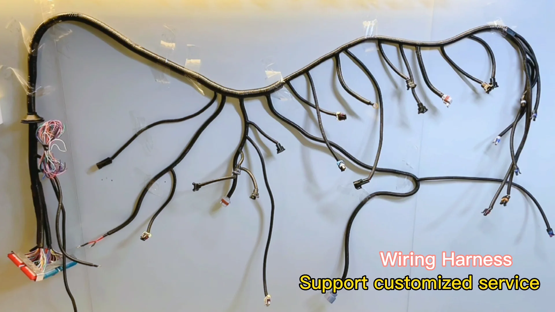 Ls Swap Stand Alone Wiring Harness Dbw 4l60e S T56 4l80e Swap Buy Ls