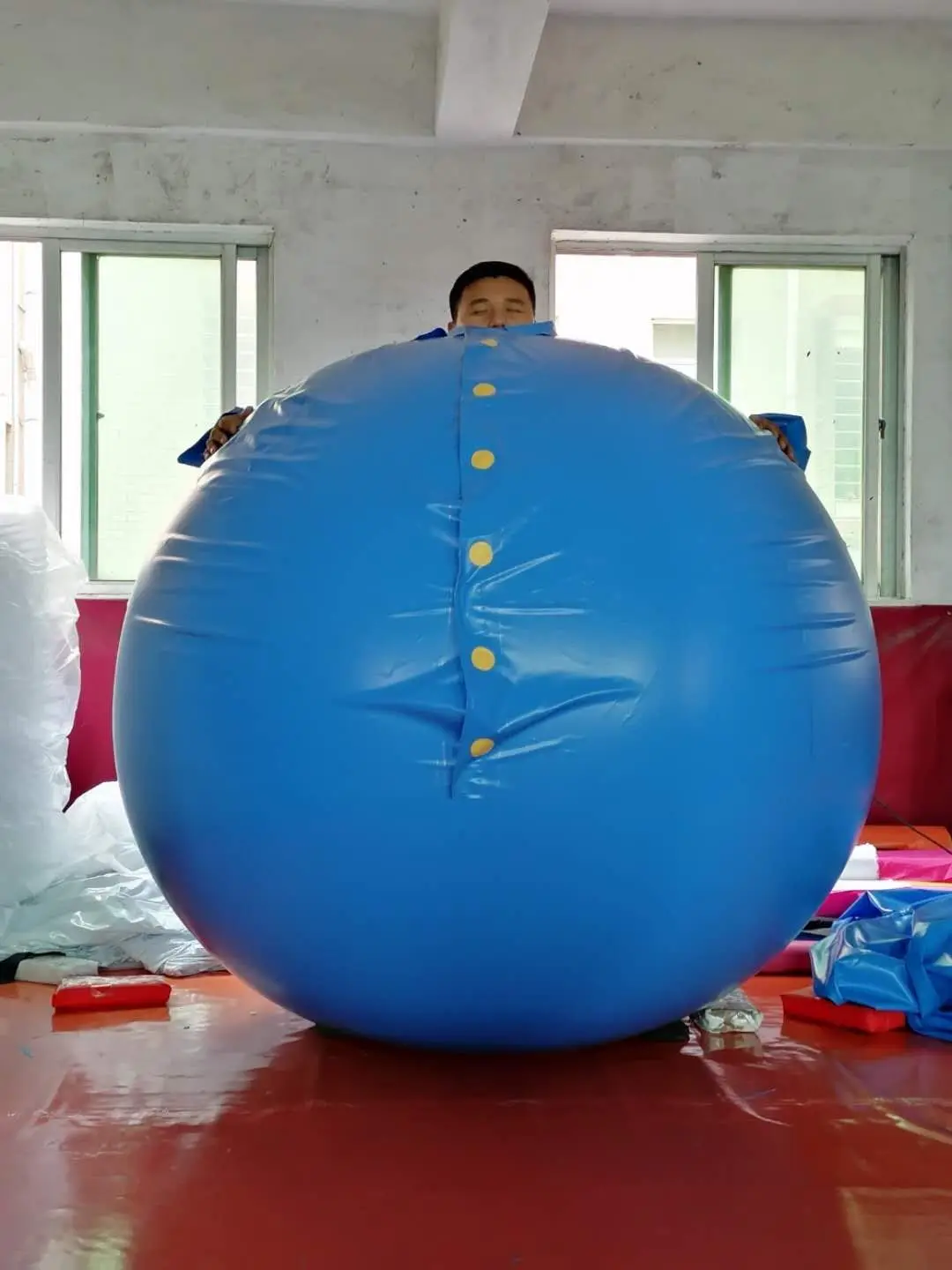 Beile Customize High-Quality Adult Round PVC Inflatable Blueberry Suit ...