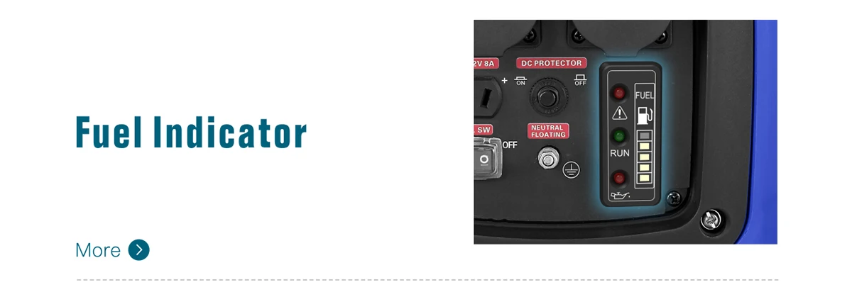 PSE 1000W Portable Gasoline Generator - Dual Fuel Powered