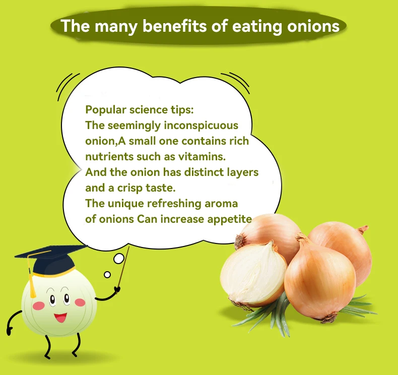 Nongshim Korean Fried Onion Rings Exotic Wholesale Snacks Salty Taste ...