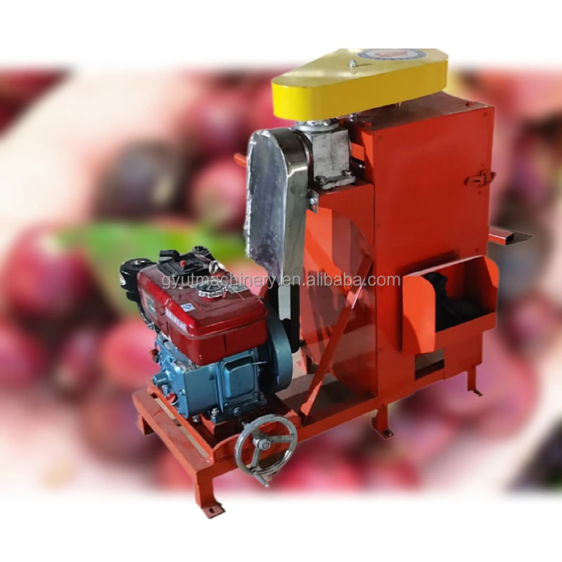 Efficient Coffee Hulling Machine - Mini Cherry Pulp Machine