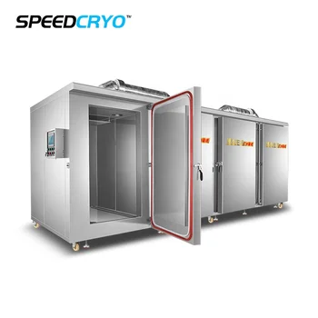Liquid Nitrogen Industrial Freezer,Iqf Flash Freeze Machine,Cryogenic ...