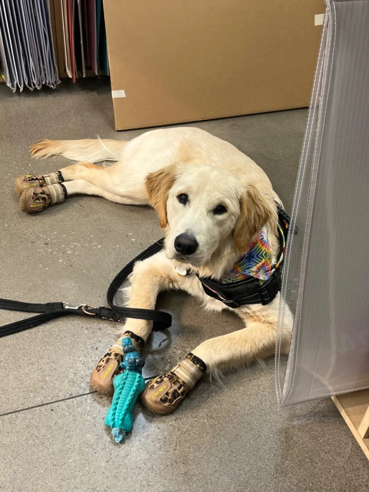 Durable Heavy Duty Dog Toys Crocodiles Shape Tough Aggressive Dog Chew ...