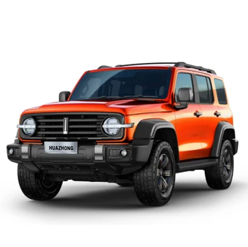 Cheap 2024 Gwn Tank 300 New Suv 4wd 2.0t 5 Seats Gasoline Cars 2023 ...