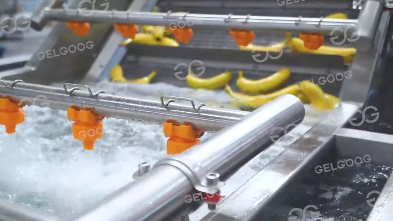 Fruit And Vegetable Cleaning Cactus Raisin Watermelon Washer Apple ...