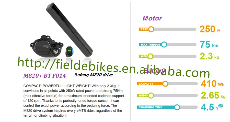 29er Carbon Frame - Lightweight E-Bike for Mountain Bikes