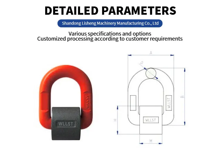 Heavy Duty Weld-on Forged D Shaped Lashing Ring - LS D Ring