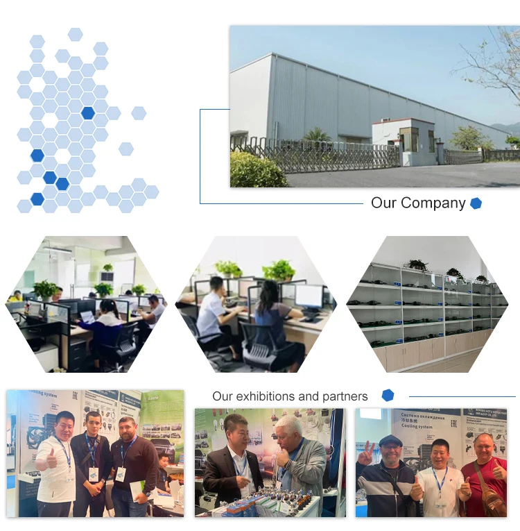 厂家直销吉利远景帝豪sc7发动机配件1136000126汽车燃油泵 - Buy 汽车燃油泵燃油泵总成电动燃油泵 Product on ...