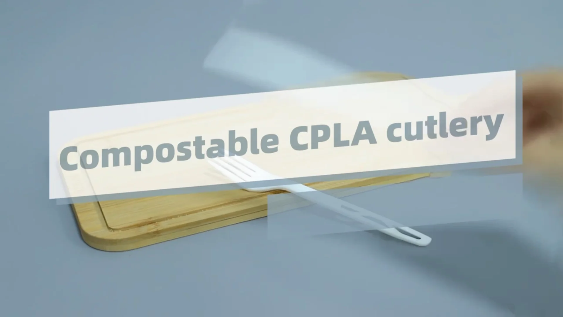 Cpla Compostable Fully Degradable Ice Cream Scoop 160mm Disposable 6.3 ...