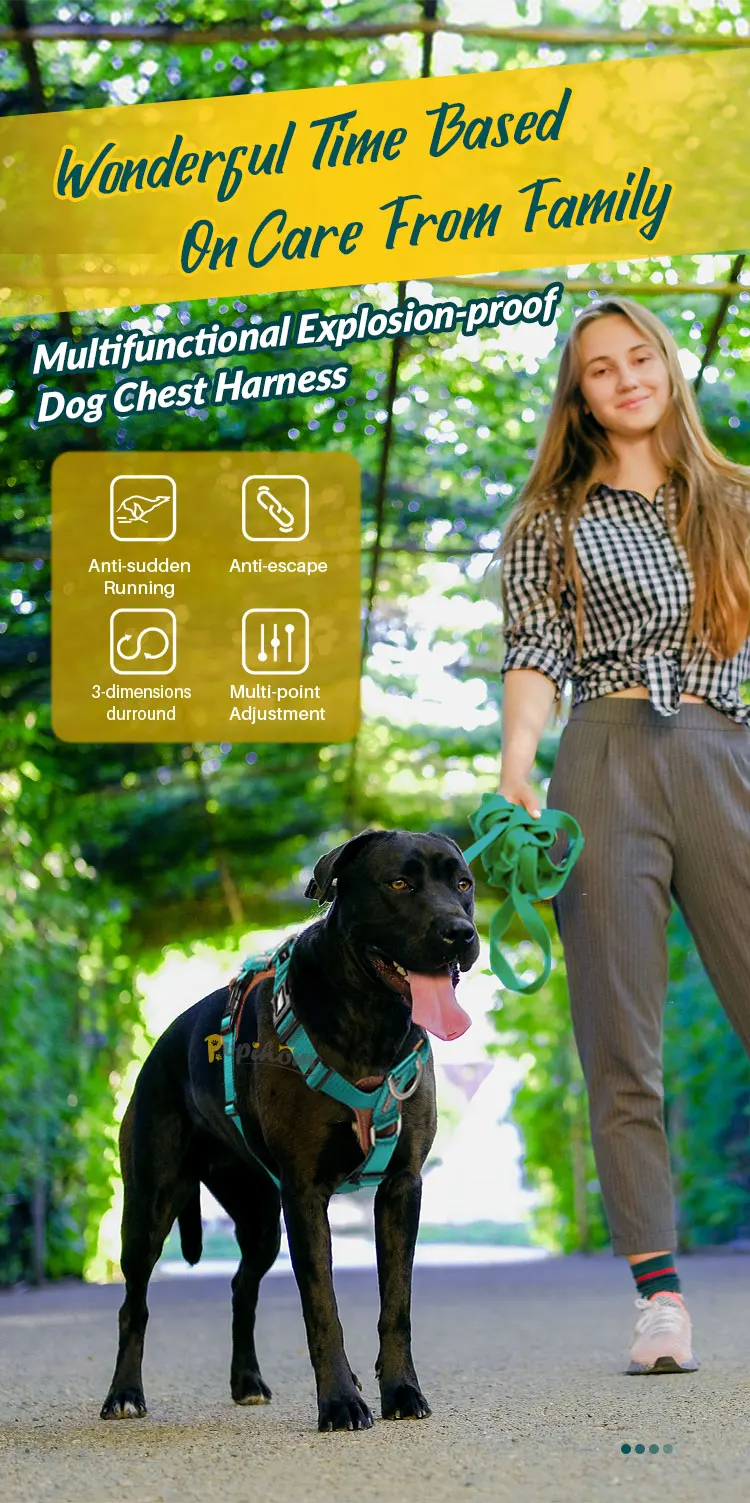 Explosion Proof Punch Puppies Walking Dog Chain Type Training Pet Chest ...