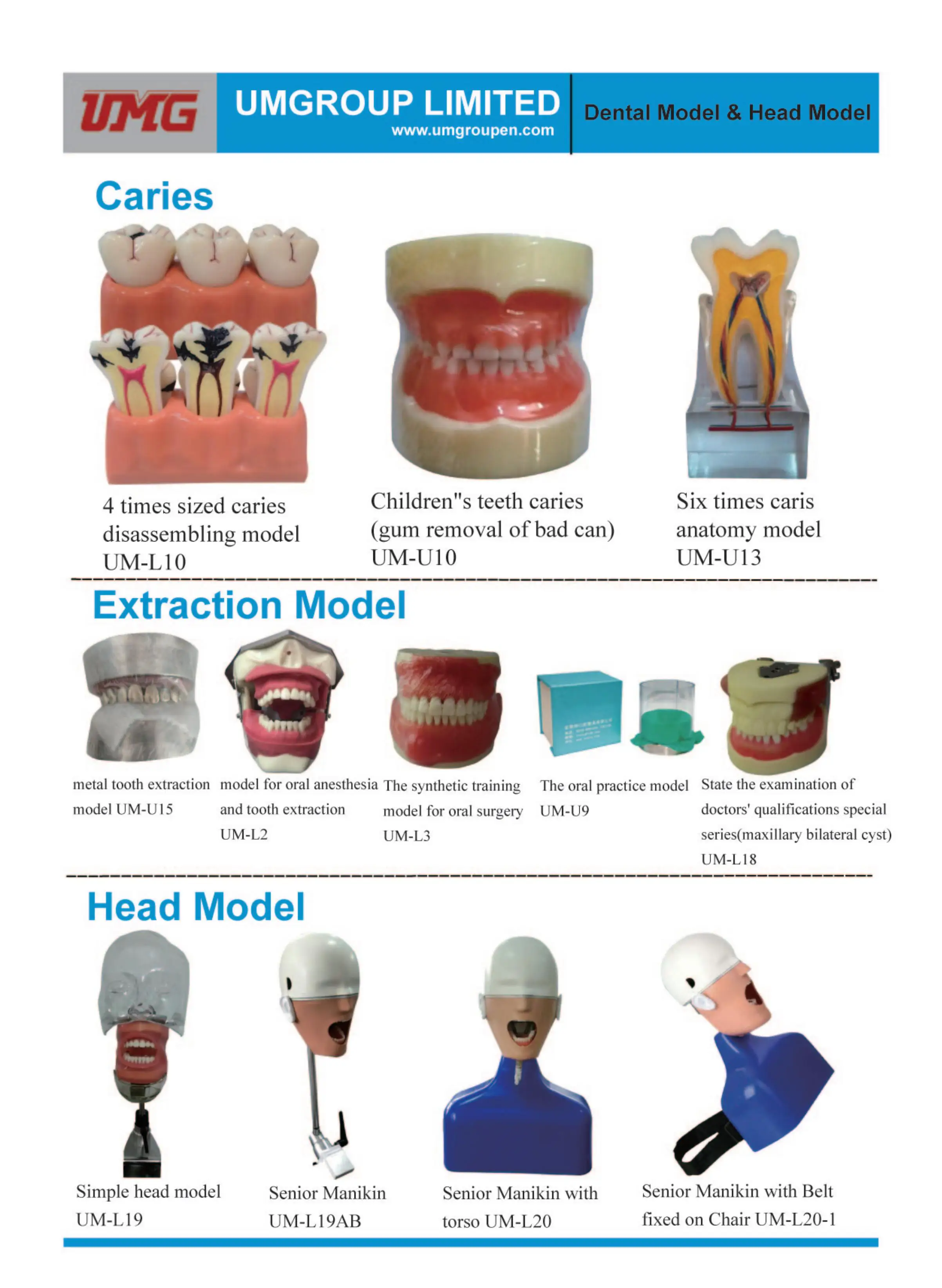 Best Training Method Dental Phantom Head - UMG Manikin