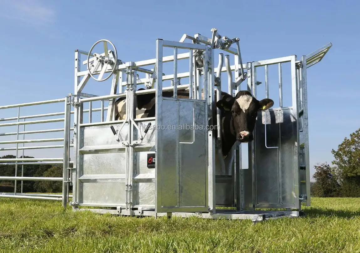 Galvanized Cattle Panel Squeeze Crush Cattle Handling Equipment