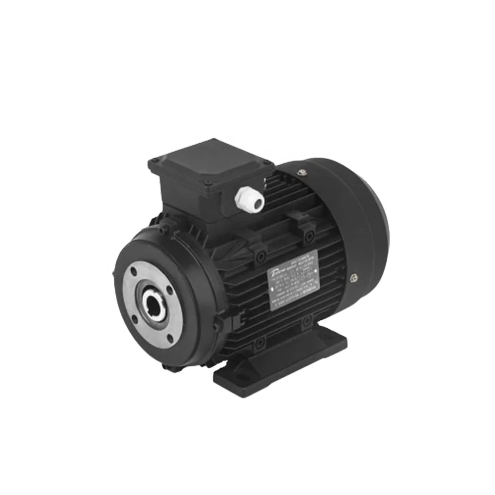 Titecho Female Shaft Ac Electric Asynchronous Motor For Italian Pump ...