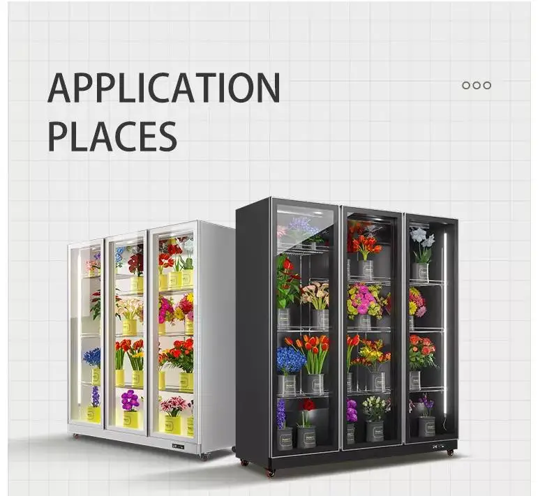 Chiller Flower Display Fridge Glass Freezer Cold Showcase Upright ...