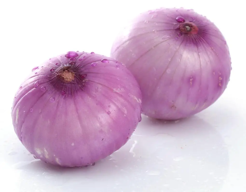 Indian Fresh Red Onion With Good Price For Export Onion With Cheap ...