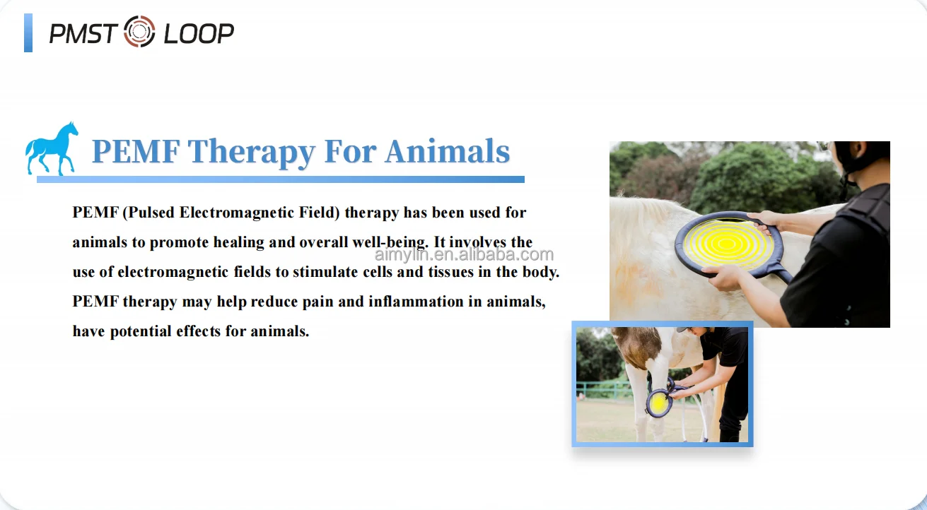 Non-invasive Portable Magnetic Single and butterfly Loop PEMF Therapy ...