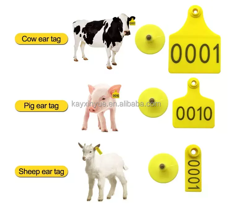 Rabbit Cow Pig Sheep Gps Rfid Animal Cattle Ear Tags| Alibaba.com