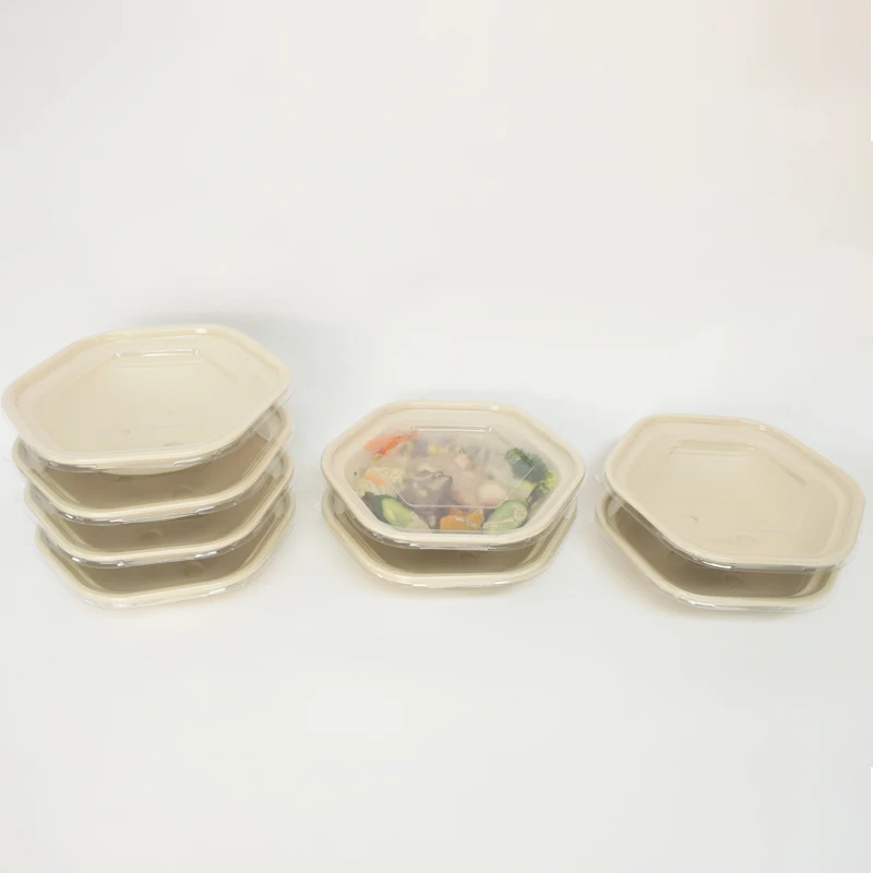 Disposable Biodegradable Takeaway Natural Pulp Sugarcane Bagasse ...