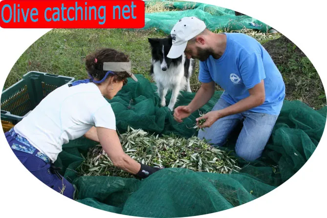 Hdpe Olive Net Umbrella Olive Net Harvest Agriculture Olive Net - Buy ...