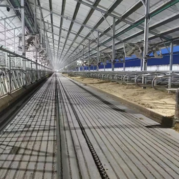 Fully Automatic Manure Cleaning System Dung Scraper Machine For Farm ...