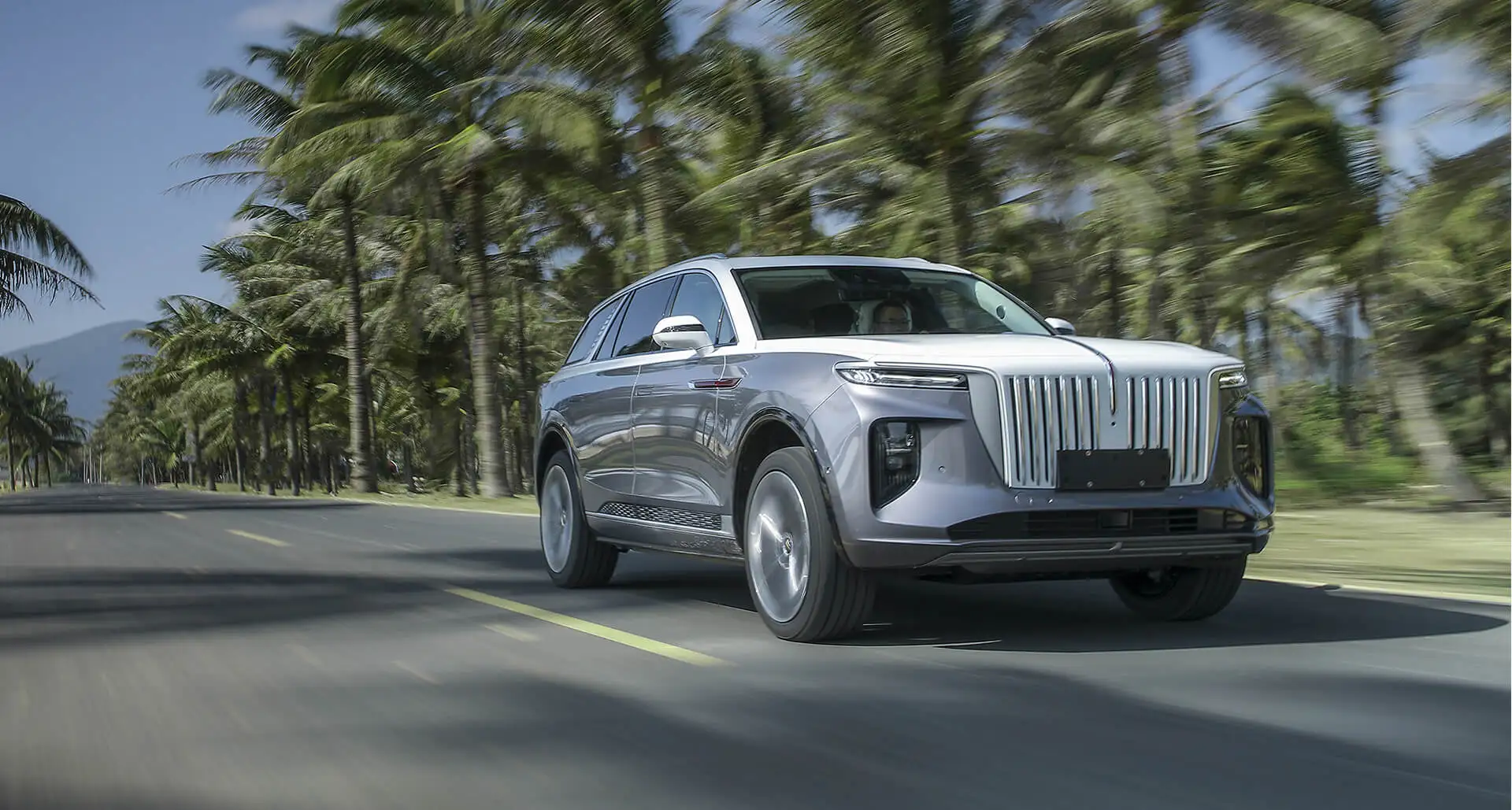 Hongqi E-hs9 2022 Luxury Electric New Energy Sedan Red Flag Pure Electric Vehicle - Buy Ehs9 ...