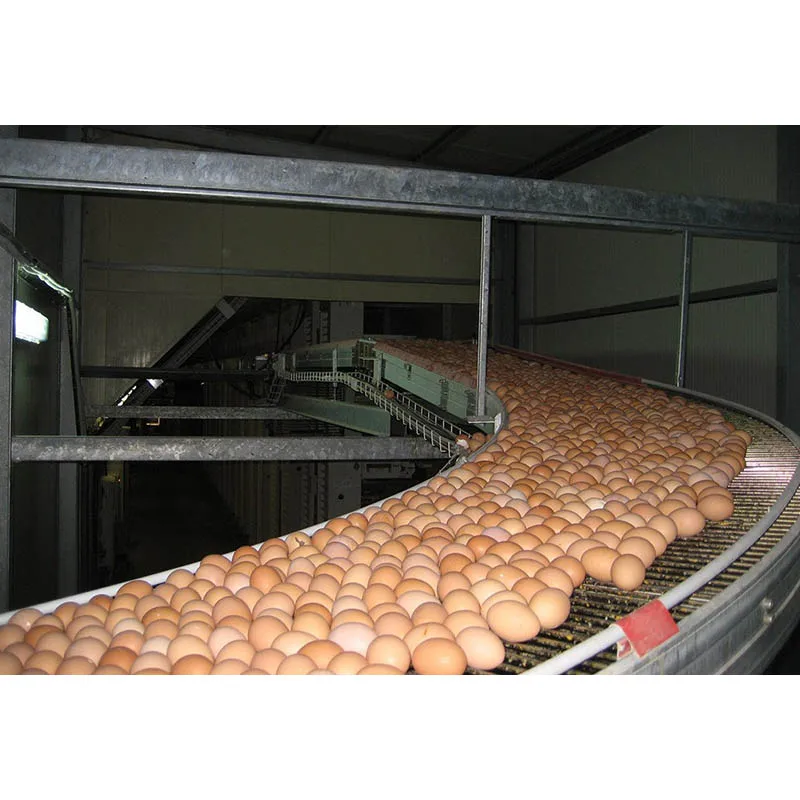 Egg collecting nest automatic egg collecting quail farm layer egg ...