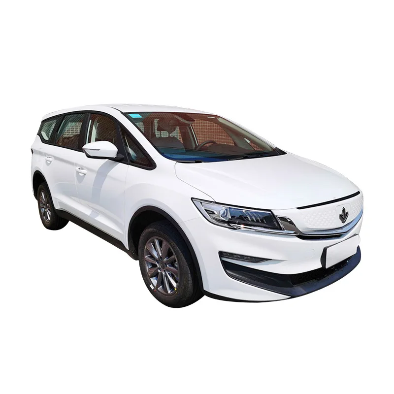 2023 Low Cost Car Electric Car Adult Mpv Ruilan Maple Leaf 80v Pure Electric Car - Buy Maple ...