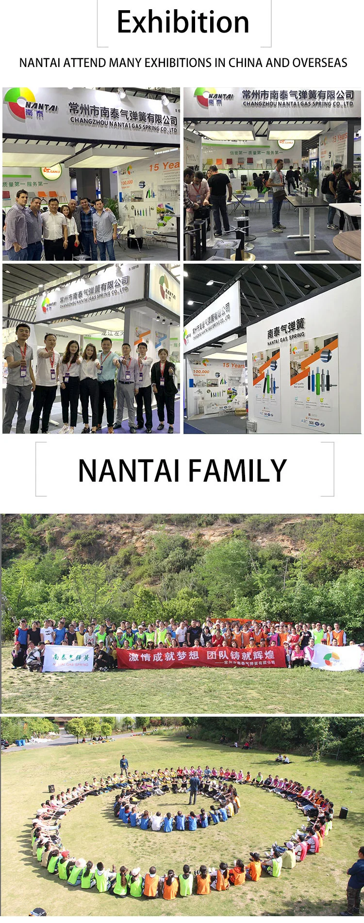 Cheap Gas Piston 200n 500n 600n Cylinder Soft Close Gas Spring For Wall ...