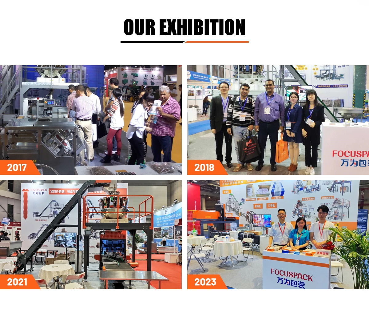 Focus Machinery 2024 Fastback Motion Conveyor Chips Conveyor Dry Fruit ...