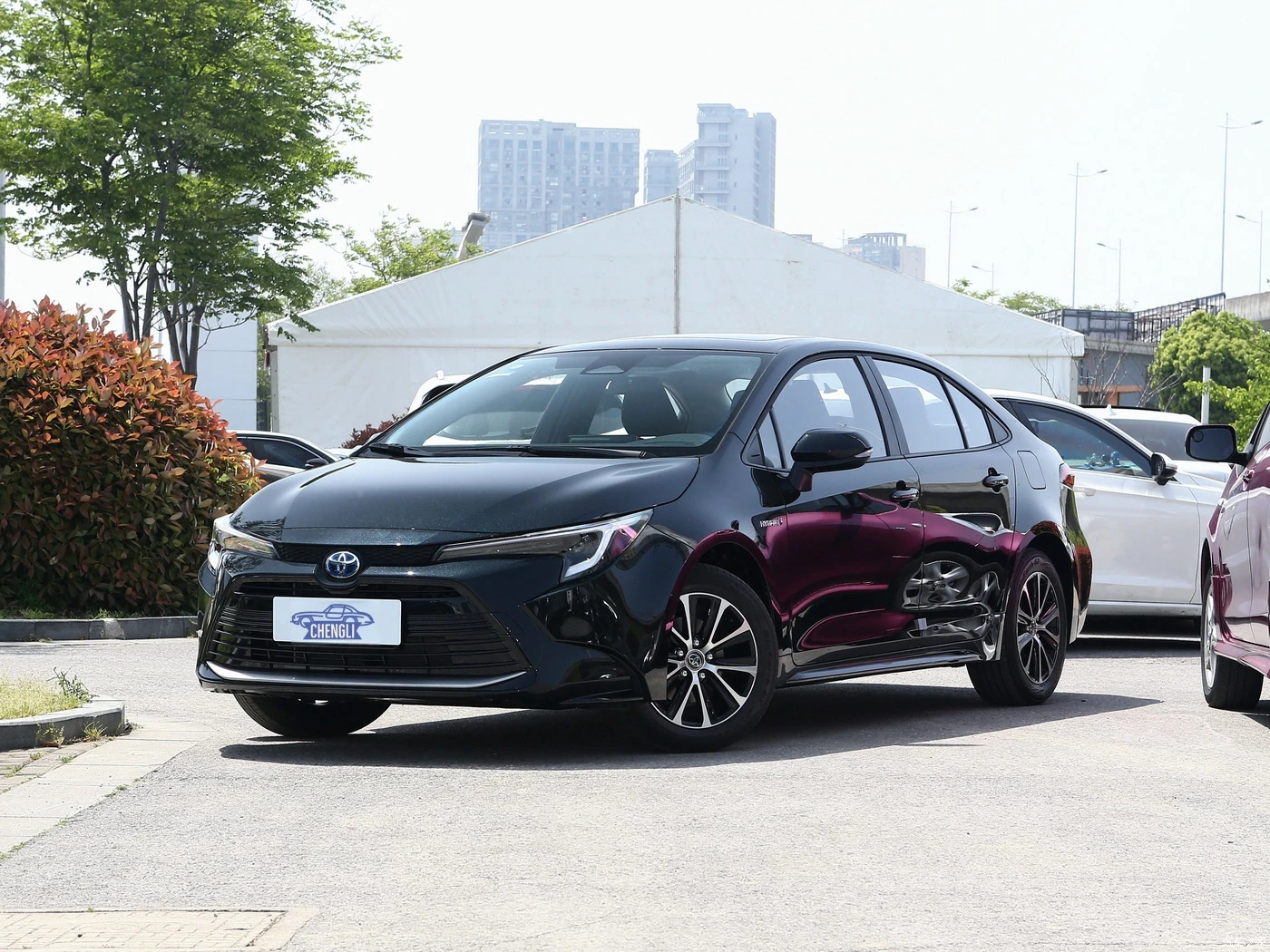 Toyota Levin Corolla Hybrid 2023 - Efficient & Reliable