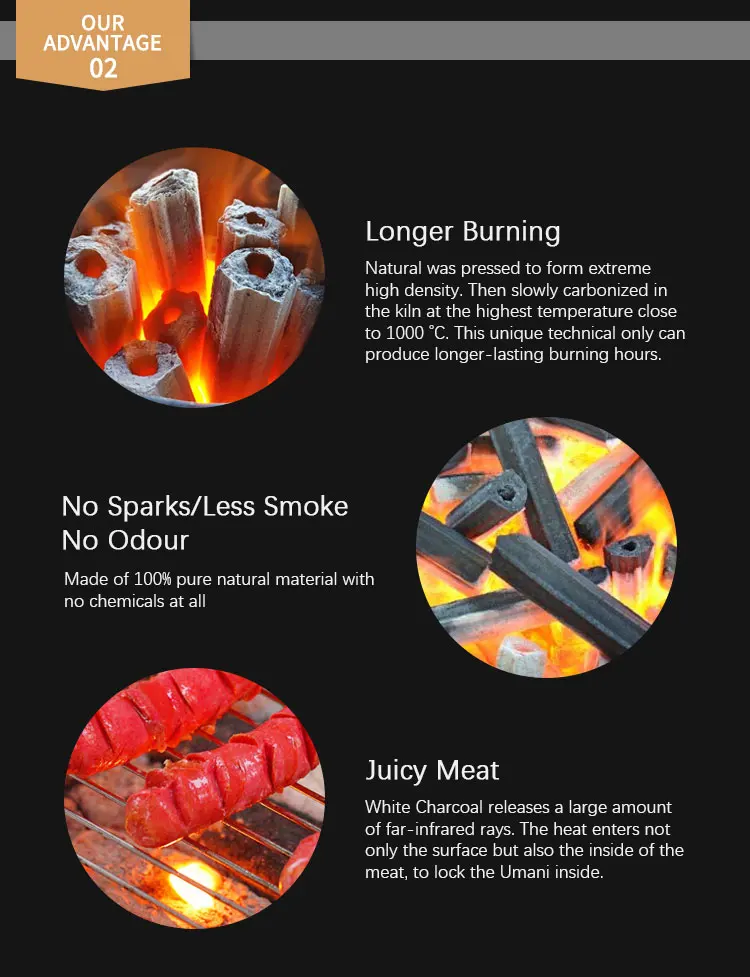 Firemax BBQ Charcoal - Long Burning, Smokeless, and Durable