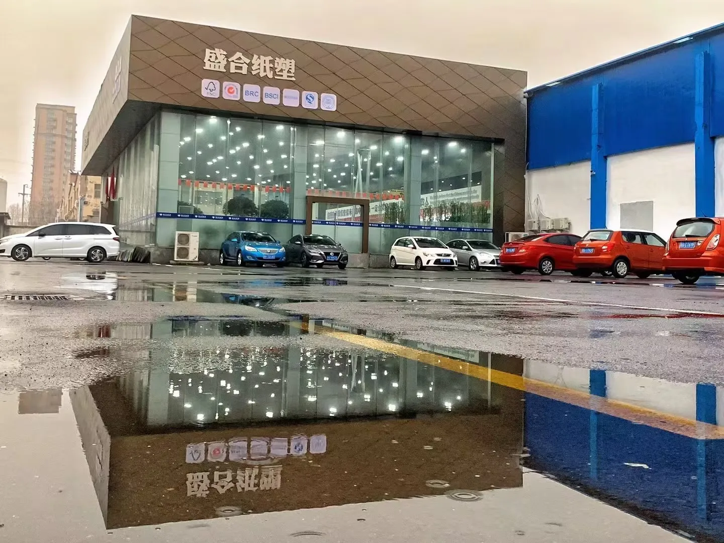 Company Overview - Shandong Shenghe Paper-Plastic Packaging Co., Ltd.