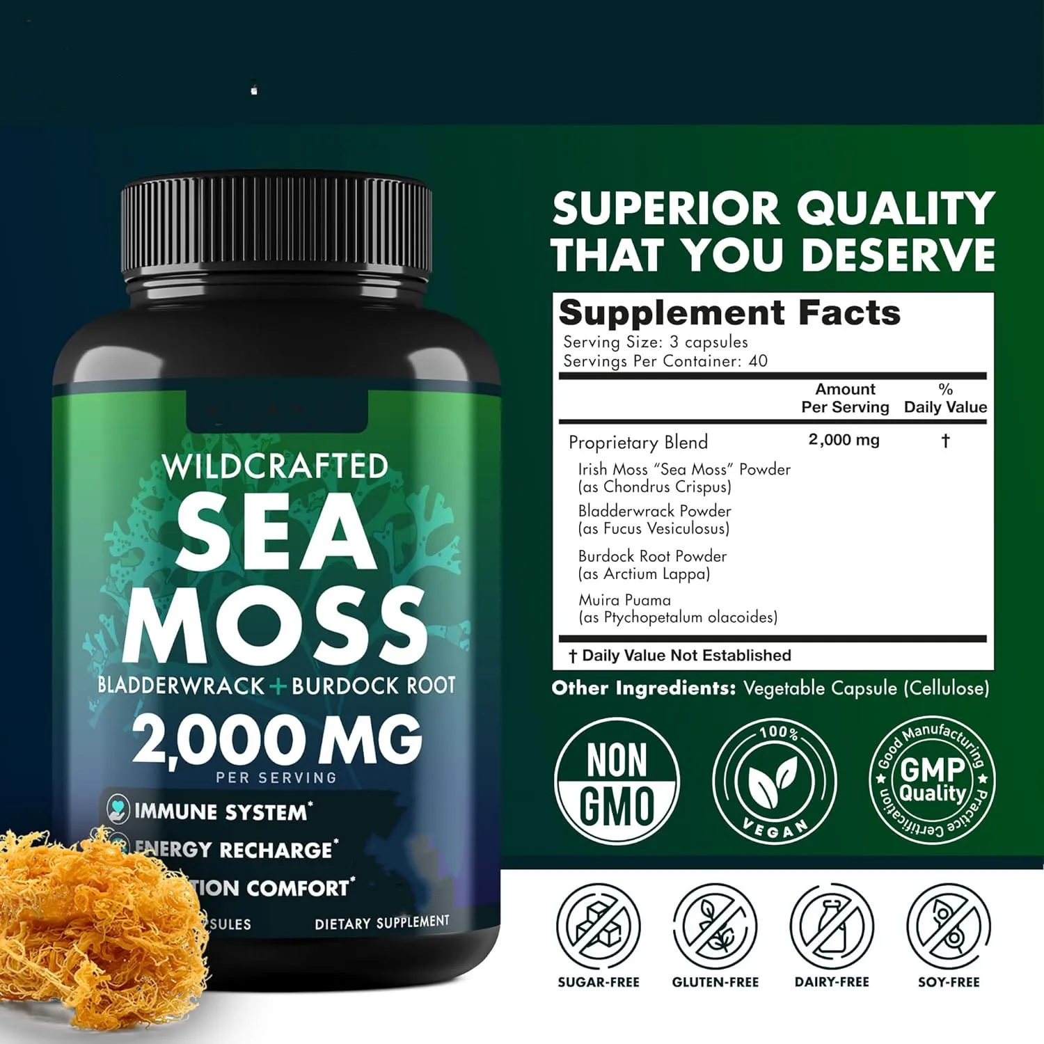 Hot Sale Sea Moss Capsules With Burdock Root & Black Seed Oil Immune ...