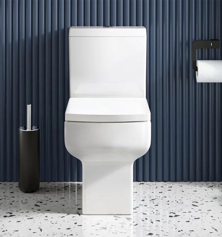 Toilette Restroom Lavatory Piss Wc Toilet Sits Bathroom Commode Ceramic ...