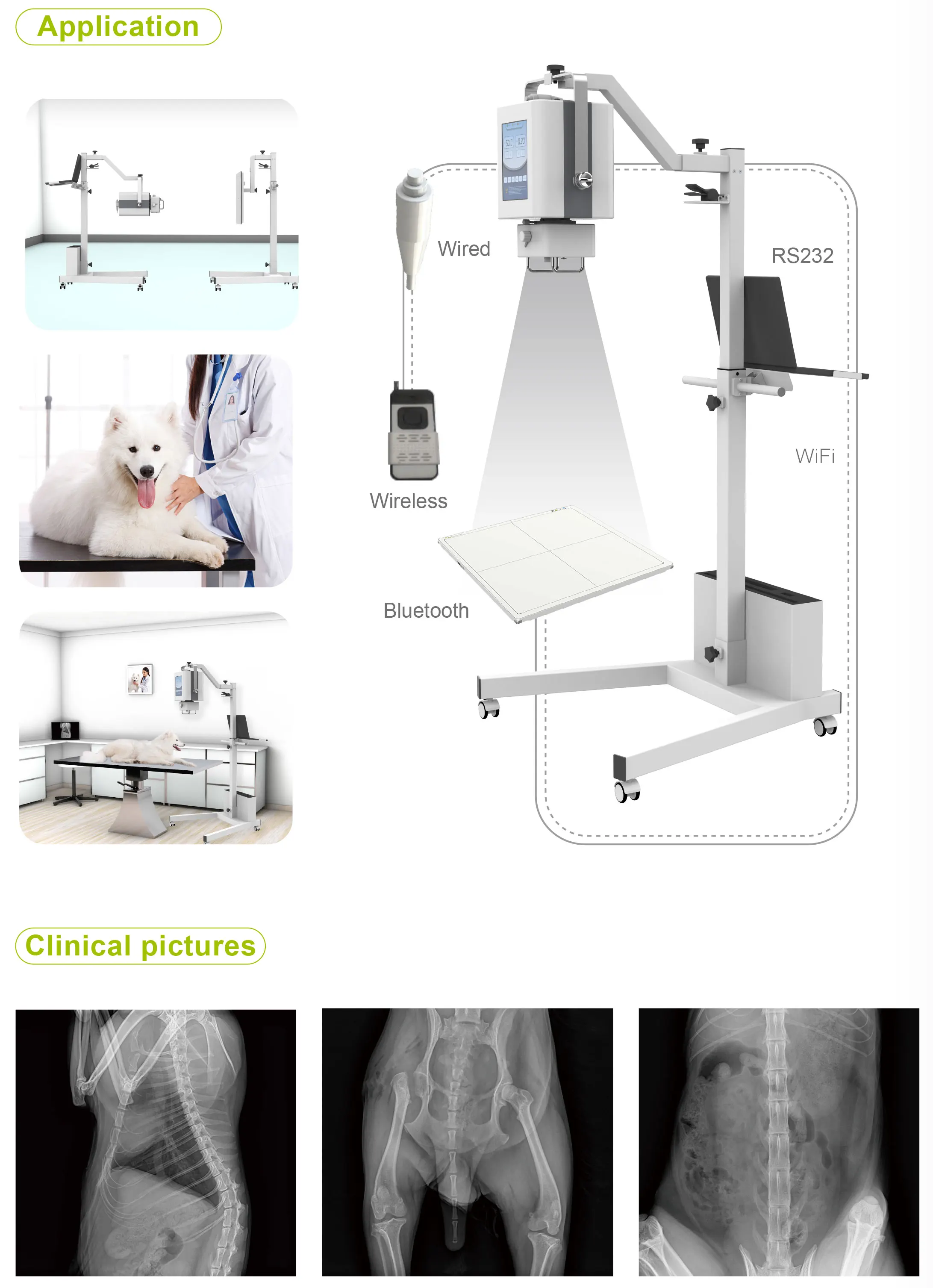 Iray High Frequency DR X Ray System - 5kw/8kw Portable Machine