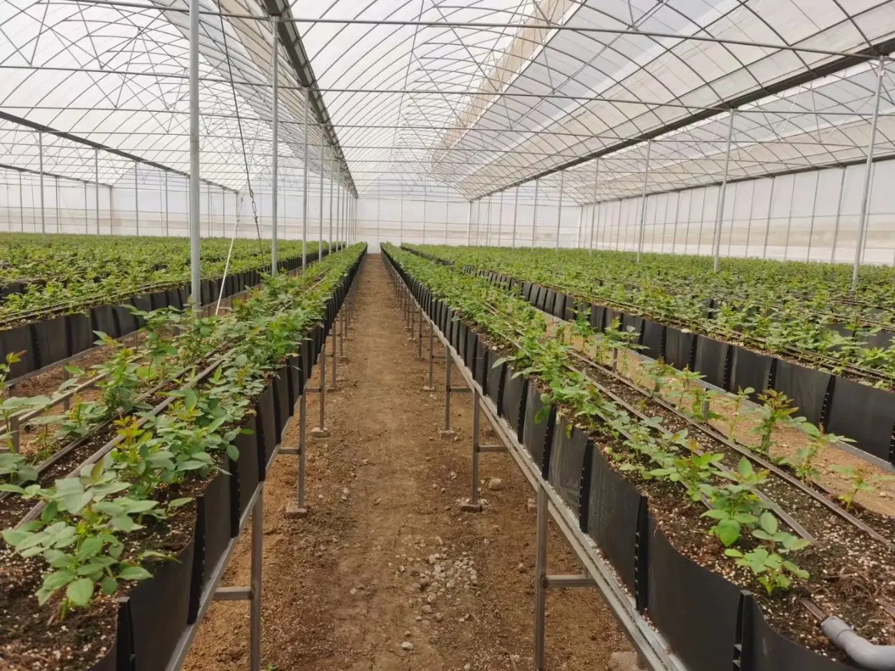 Unti-uv Soilless Growing Troughs - Hydroponic Solutions