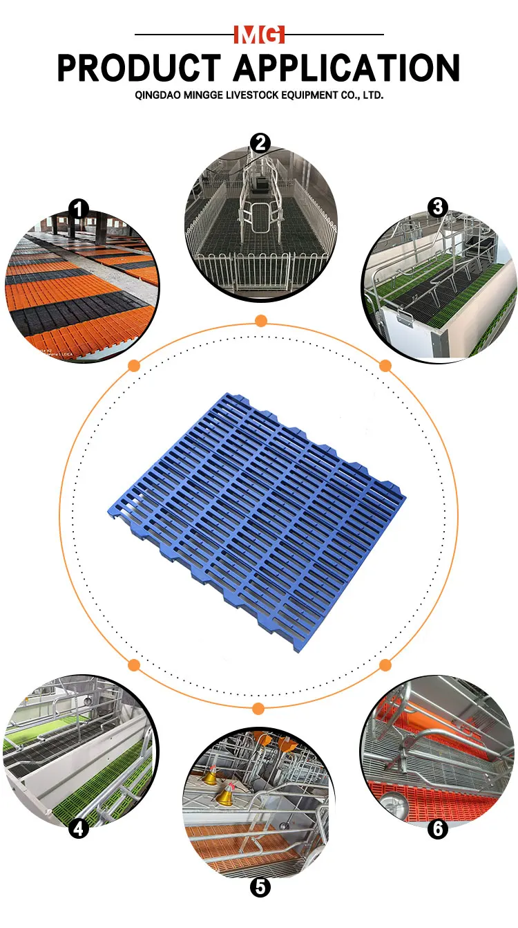 Manufactured In Chinese Factories Plastic Slats For Piglets 600*400 Mm ...