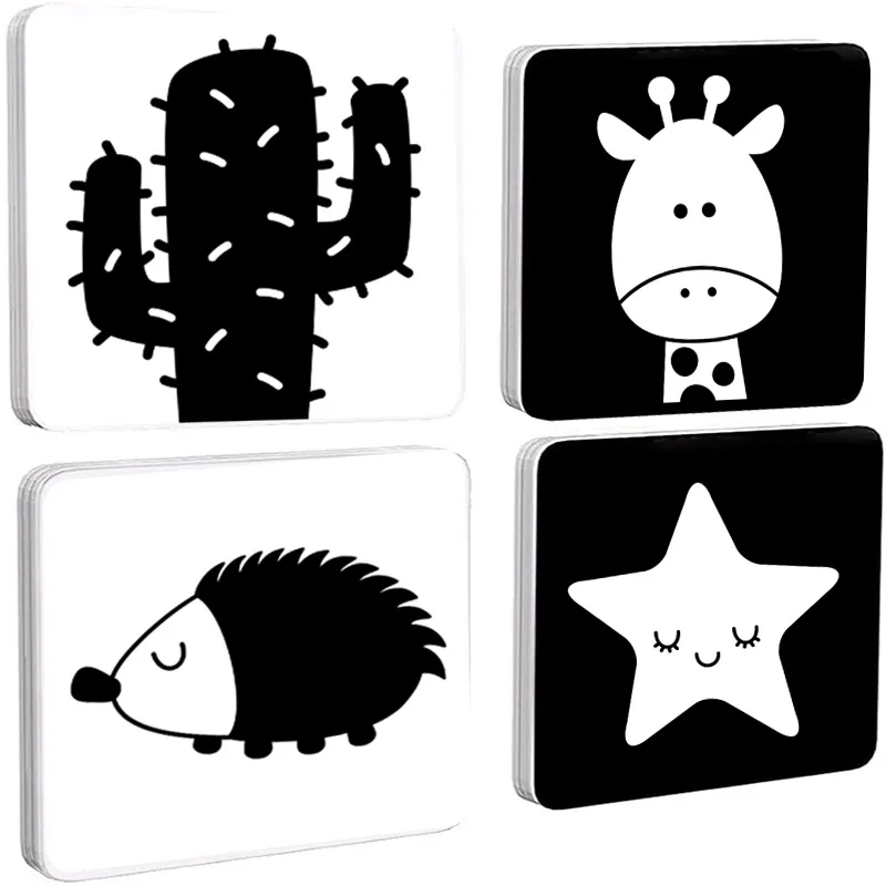 Black and White Educational Flashcards Flash Card Printing Services ...
