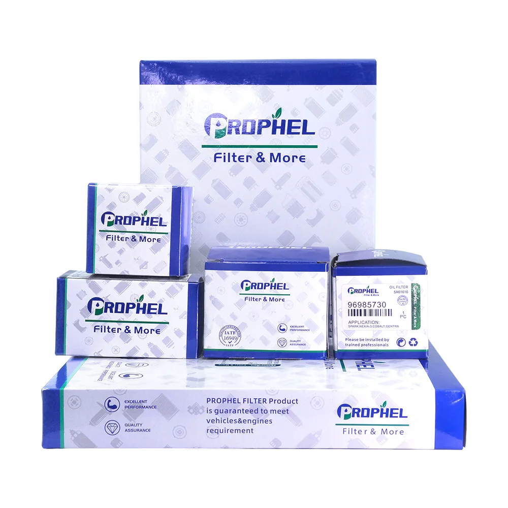 Oem Lpi Fuel Filter Cartridge Lpg Gas Filter Car Lpg Filter For Hyundai ...