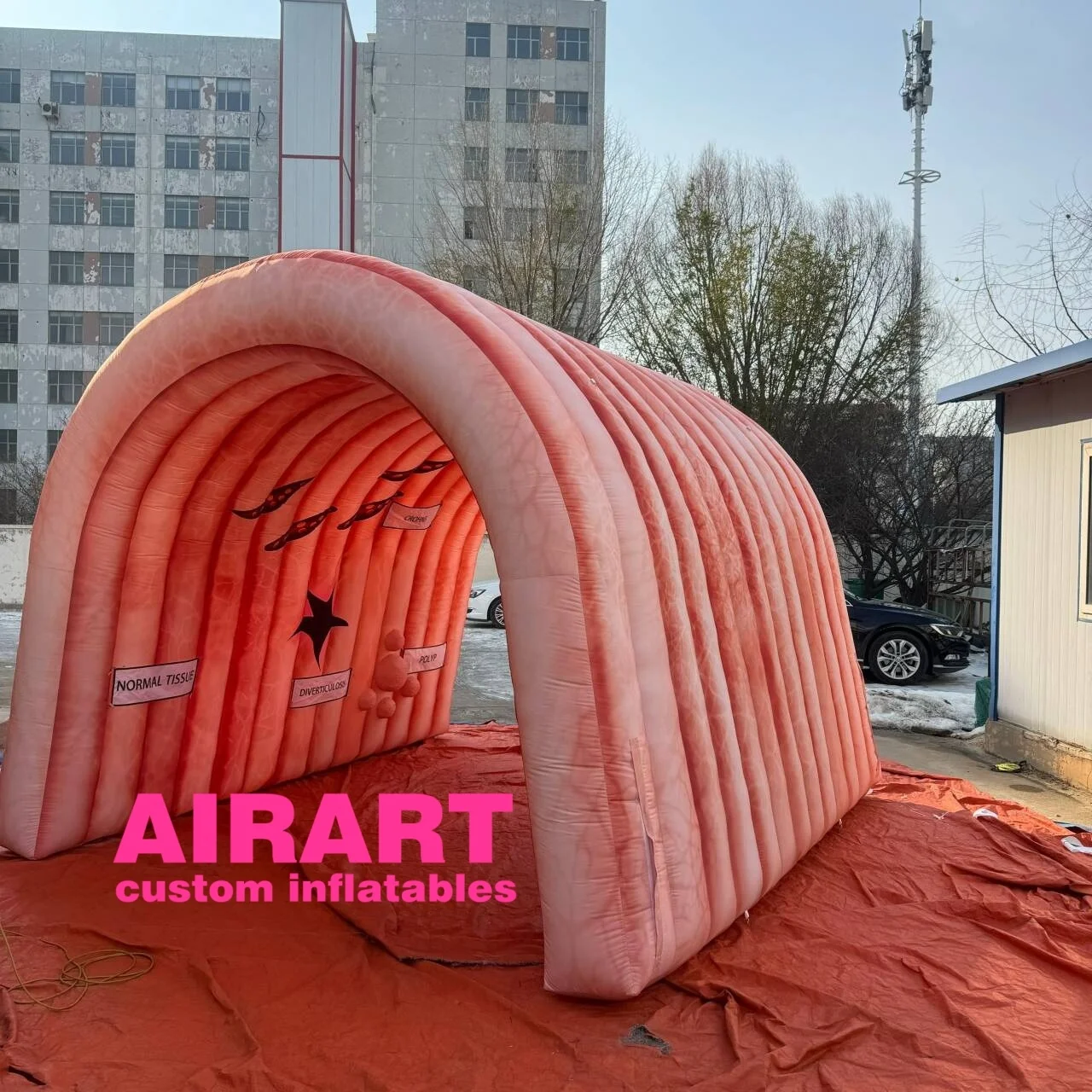 Large Intestine Inflatable Model For Medical,Mega Colon Inflatables ...